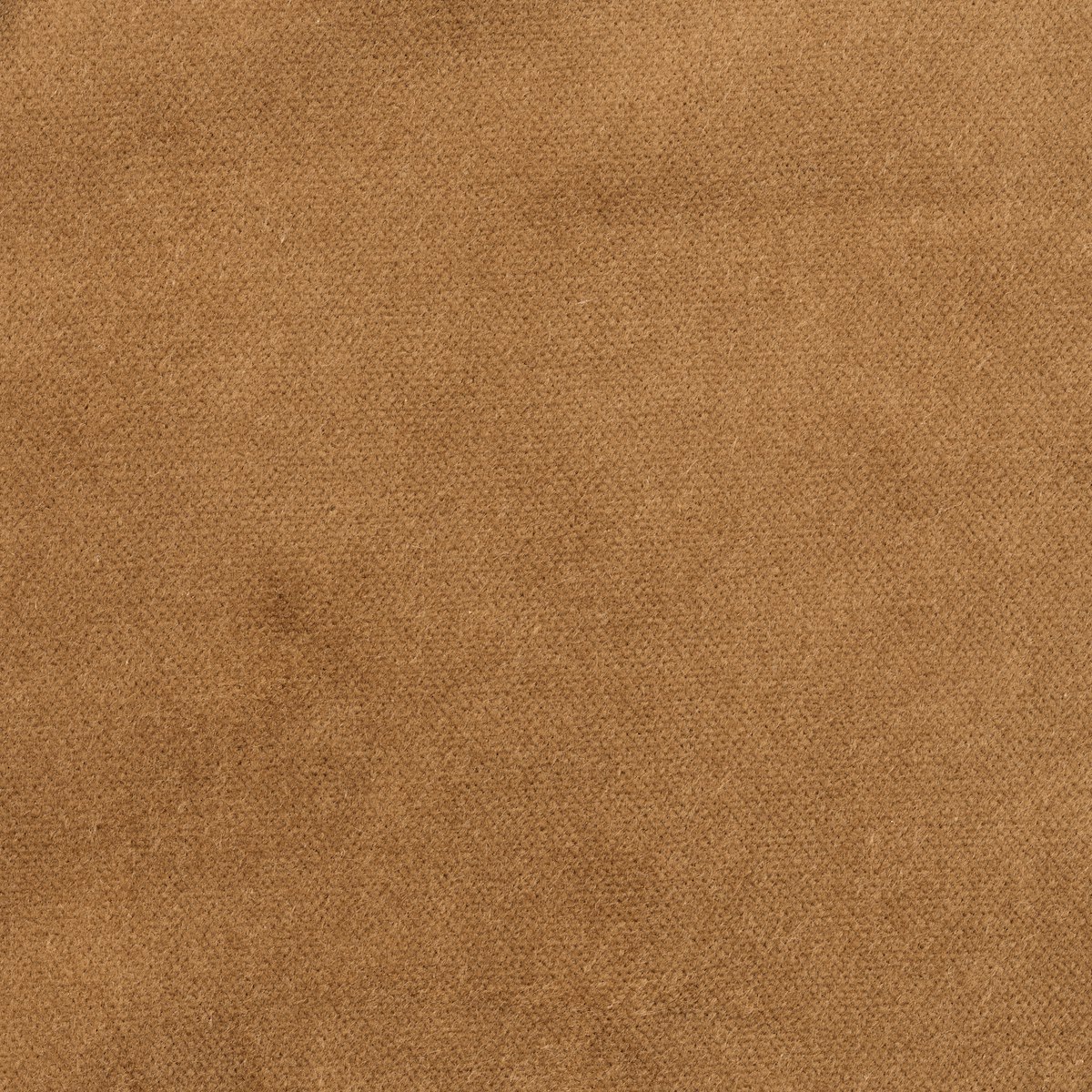 Caramel Velvet | J.Hilburn